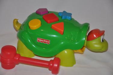 TAPPY TURTLE B 0336